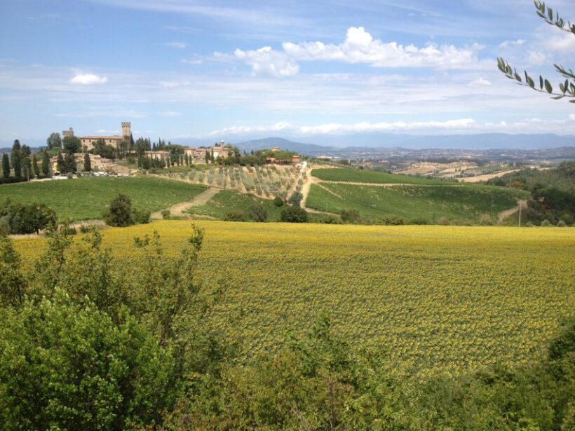 Florence: Chianti Sunset Vespa Tour with Wine & Oil Tasting - Final Words