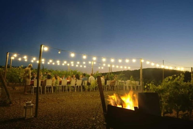 Florence: Chianti Vineyards Tour with Wine Tasting & Dinner - Practical Details and Logistics