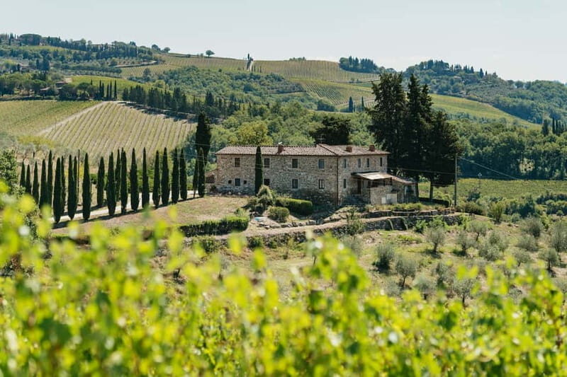 Florence: Chianti Wineries Tour with Wine Tasting - What’s Included and What to Keep in Mind