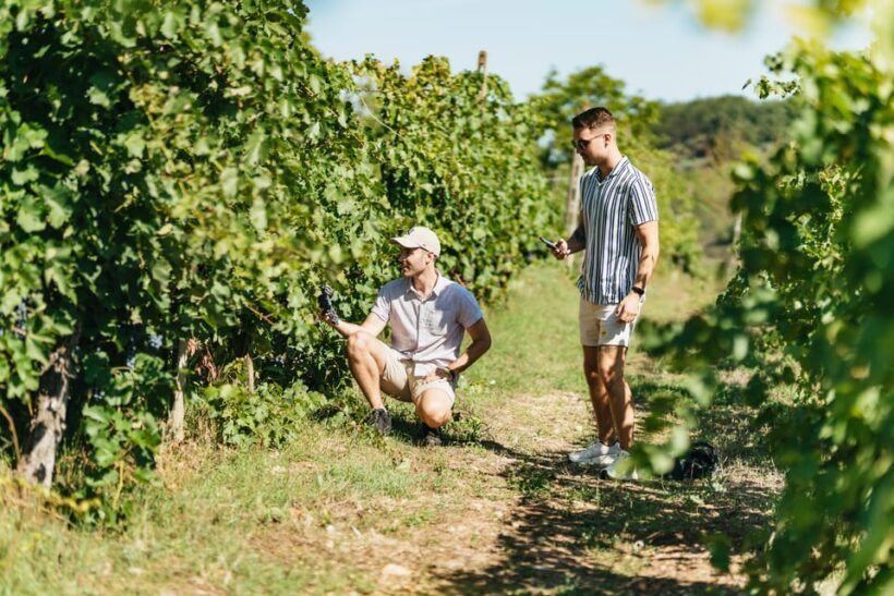 Florence: Chianti Wineries Tour with Wine Tasting - The Authenticity and Review Highlights