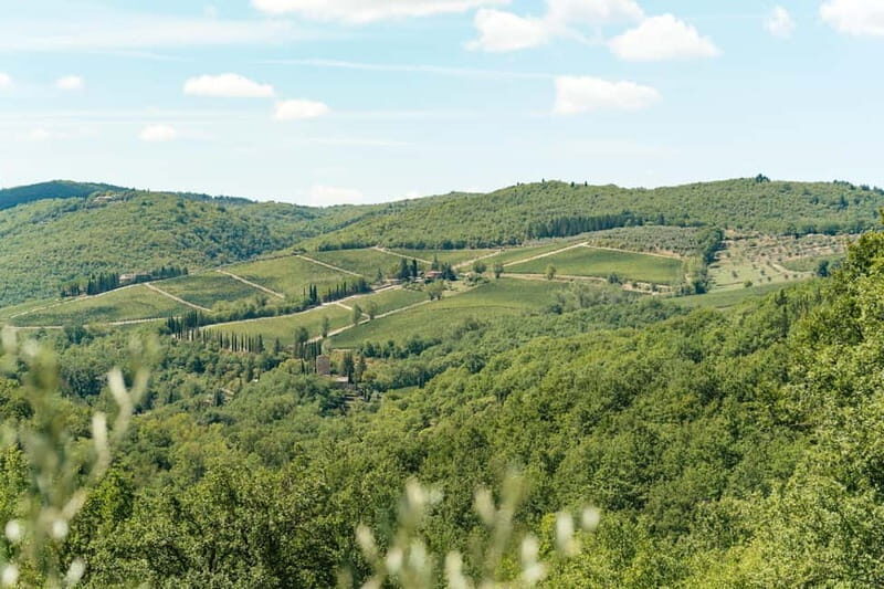 Florence: Chianti Wineries Tour with Wine Tasting - Final Thoughts: Is It Worth It?