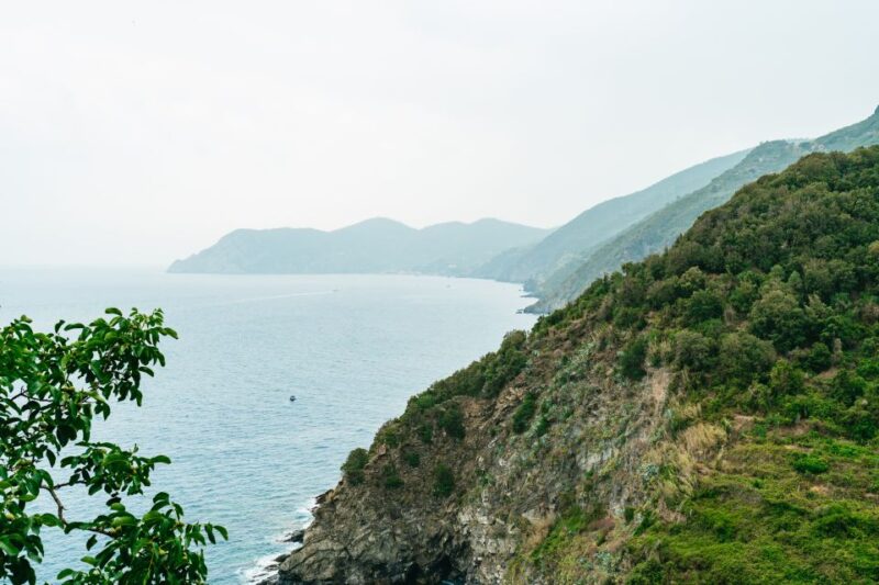 Florence: Cinque Terre Day Trip with Optional Hike - Vernazza—A Picturesque Fishing Village