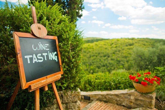 Florence Day Trip: Pisa, San Gimignano and Siena With Lunch - Guided Tour of Historic Siena