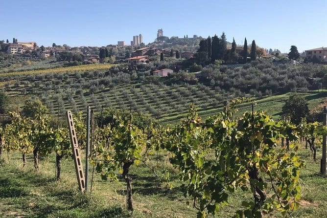 Florence Day Trip to Volterra and San Gimignano - The Sum Up