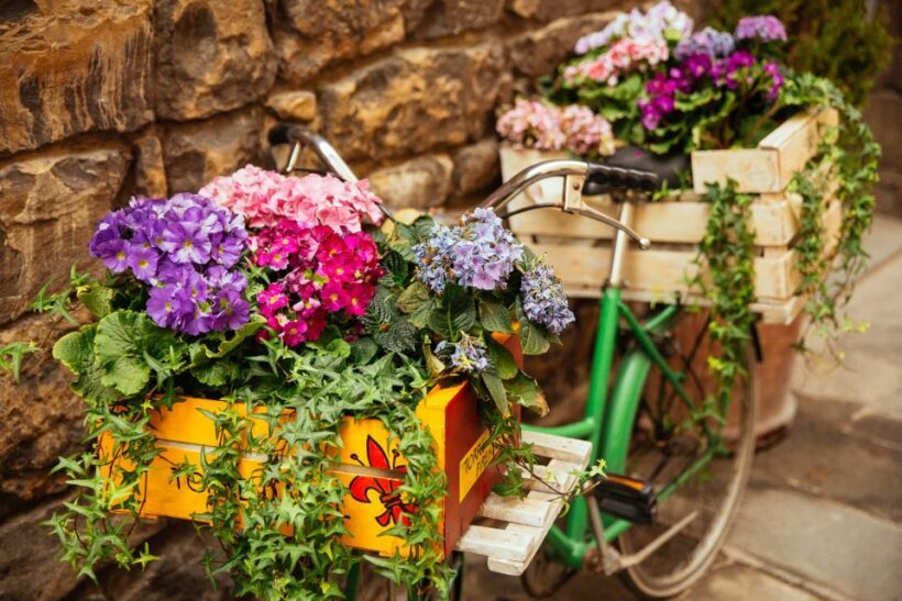Florence: Family-Friendly Private Tour - The Sum Up