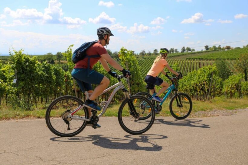 Florence: Fiesole E-Bike Tour with Olive Oil Tasting - Key Points