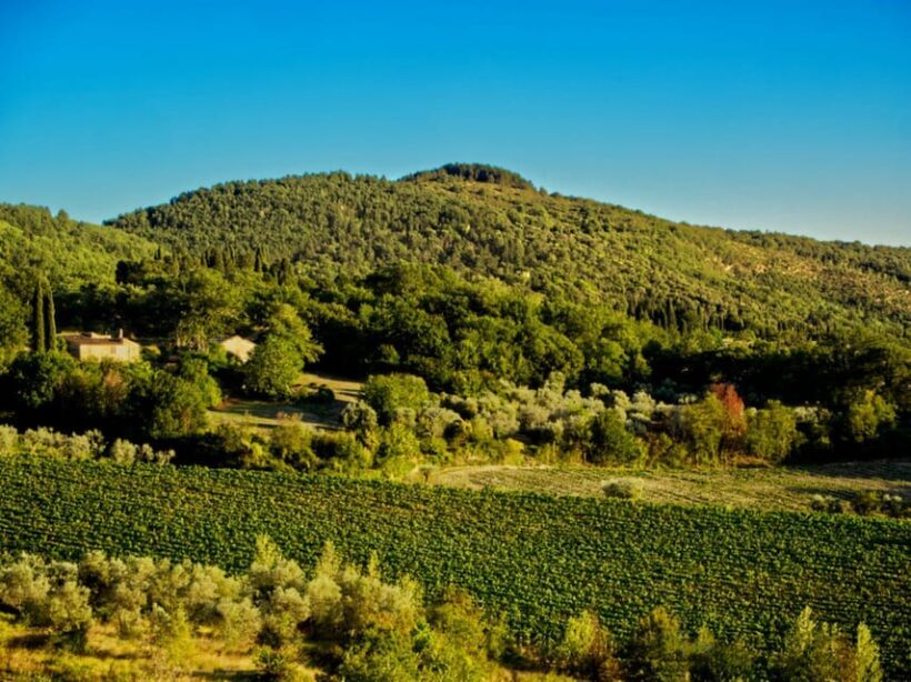 Florence: Fiesole E-Bike Tour with Olive Oil Tasting - Who Should Consider This Tour?