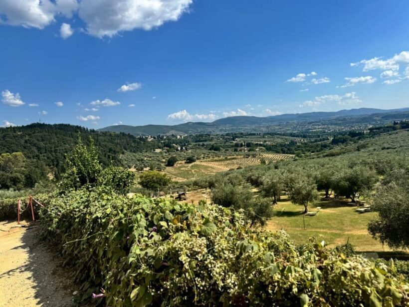 Florence: Fiesole E-Bike Tour with Olive Oil Tasting - The Sum Up