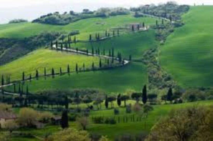 Florence: Guided Tours of the City and Chianti Countryside - FAQ