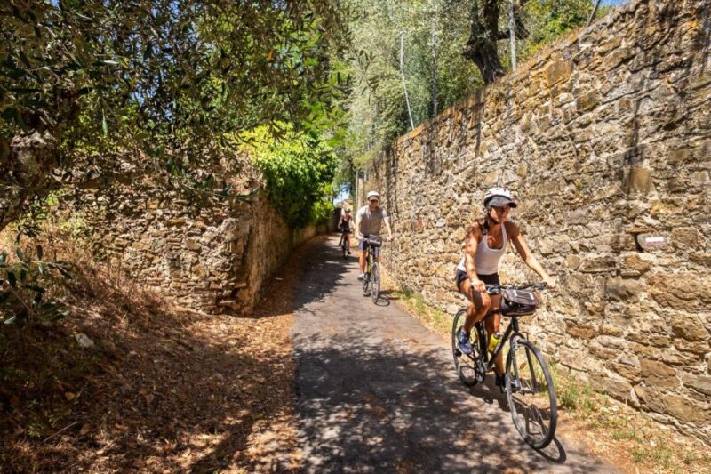 Florence: Half-Day Tuscan Countryside Bike Tour and Tastings - Who Would Love This Tour?