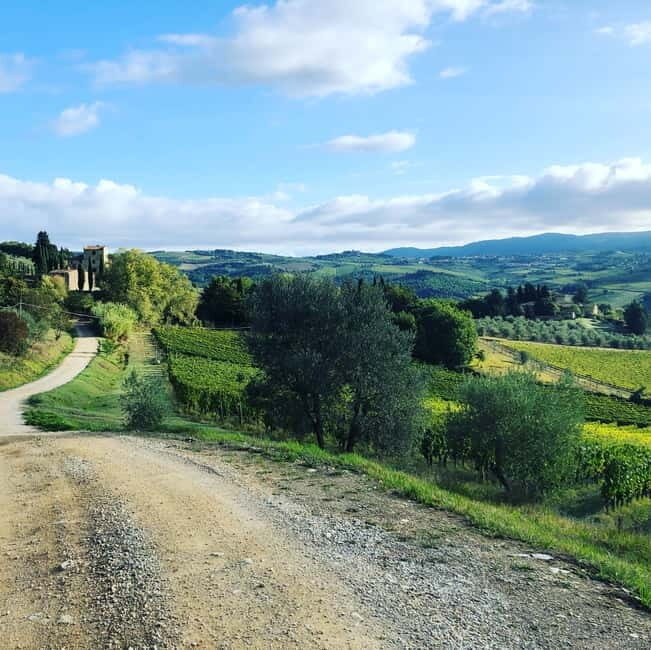 Florence: Hiking Tuscany & Chianti wine 3 wineries and lunch - The Walk Through Conca dOro and Vineyards
