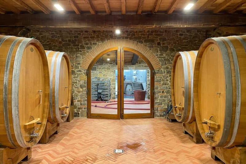 Florence: Hiking Tuscany & Chianti wine 3 wineries and lunch - Olive Oil Tasting and Scenic Walks