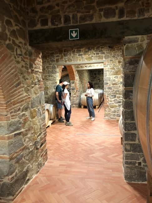Florence: Hiking Tuscany & Chianti wine 3 wineries and lunch - The Modern Winery with Artistic Flair