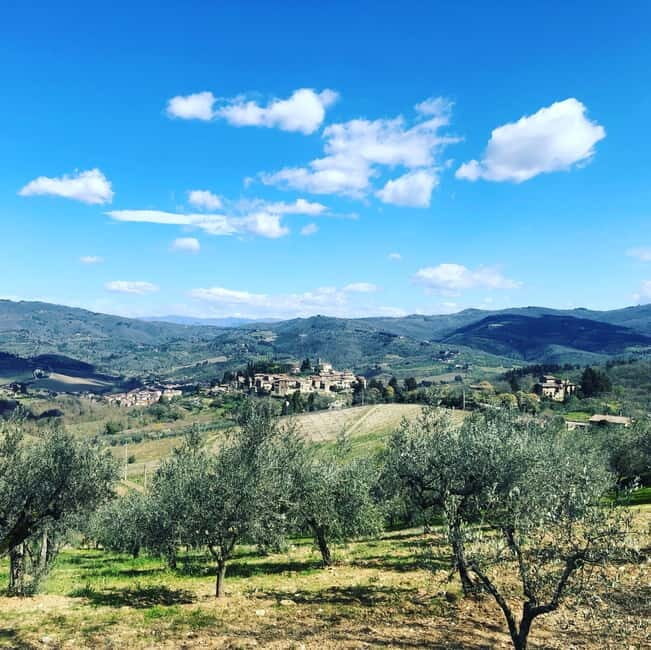 Florence: Hiking Tuscany & Chianti wine 3 wineries and lunch - Transportation and Group Size