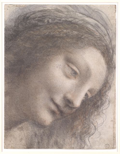 Florence: Leonardo Drawings - What to Expect at the Studio
