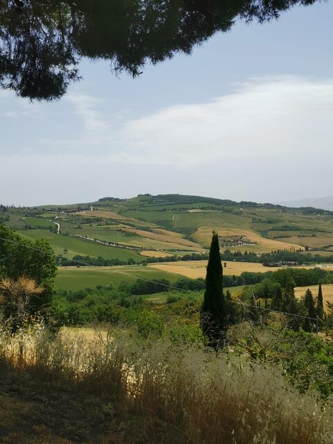 Florence: Montepulciano, Pienza, & Montalcino Private Trip - Montalcino: The Land of Brunello