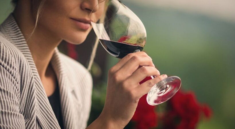 Florence or Bologna: 3 Cellar Tours in Chianti with Lunch - Key Points