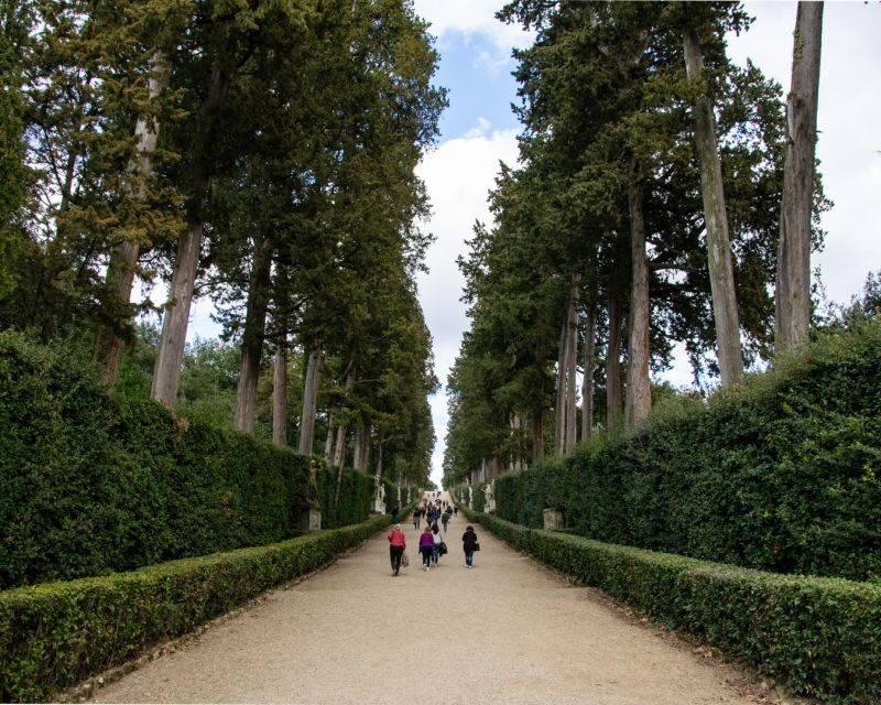 Florence: Pitti Palace and Boboli Gardens Walking Tour - What to Expect During the Tour