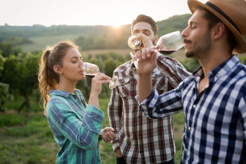 Florence: Private full day tour to Chianti Wine Region - An Authentic, Relaxed Day in Chianti