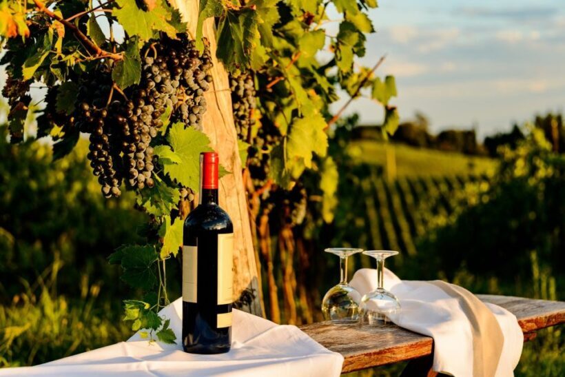 Florence: Private full day tour to Chianti Wine Region - The Real Value of This Experience