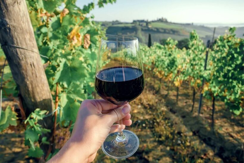 Florence: Private full day tour to Chianti Wine Region - Who Should Consider This Tour?