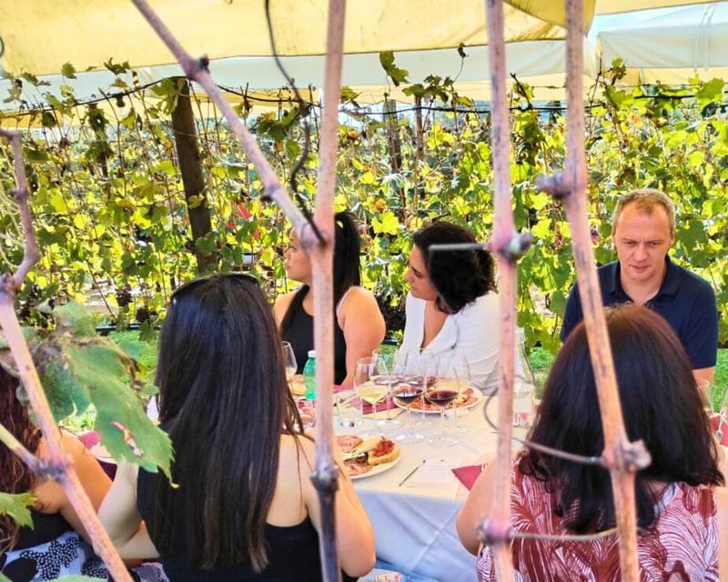 Florence: Private Tuscany Wine Tour with San Gimignano - A Deep Dive into the Experience