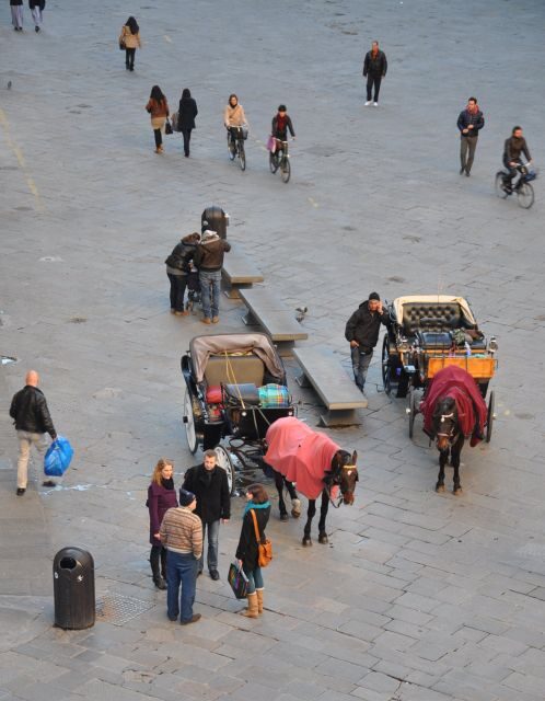 Florence: Private Walking Tour with a Local Guide - Logistics and Practicalities