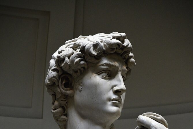 Florence: Reserverd Skip-the-Line Entry Ticket to See David - A Closer Look at the Experience