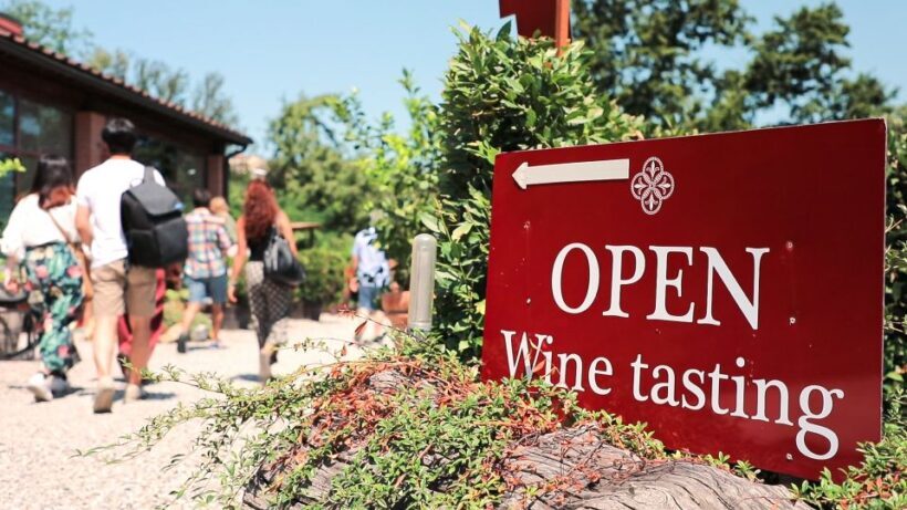 Florence: S. Gimignano, Siena, Chianti & Wine Tasting Lunch - An Overview of What You Can Expect