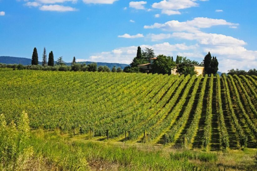 Florence: San Gimignano, Siena, and Chianti -Day Tour - Final Thoughts