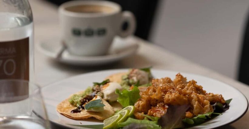 Florence TÅG Culinary Experience & HZERO Museum - Tacos Menu - A Closer Look at the Experience