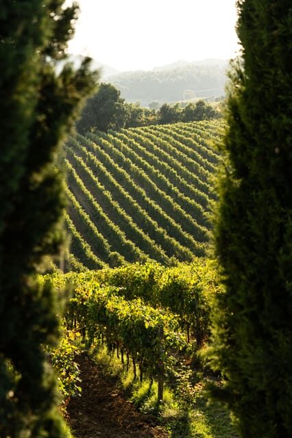 Florence: Tradition Reinvented wine experience - Final Thoughts: Is It Worth It?