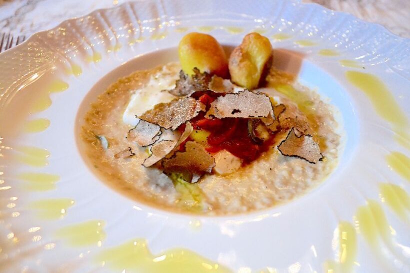 Florence: Truffle Hunting, Lunch, and Wine Tasting Tour - Key Points