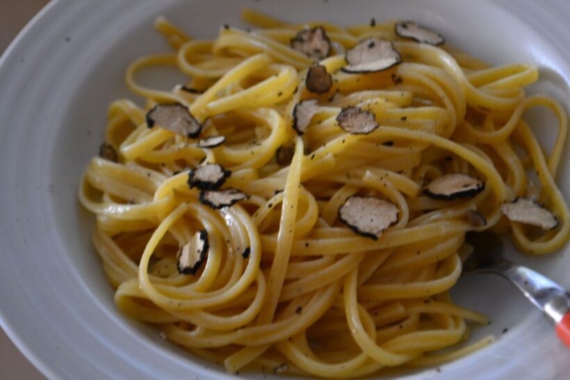 Florence: Truffle Hunting, Lunch, and Wine Tasting Tour - Who This Tour Is Best For