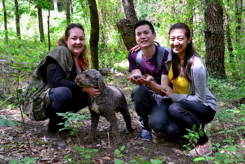 Florence: Truffle Hunting, Lunch, and Wine Tasting Tour - FAQs