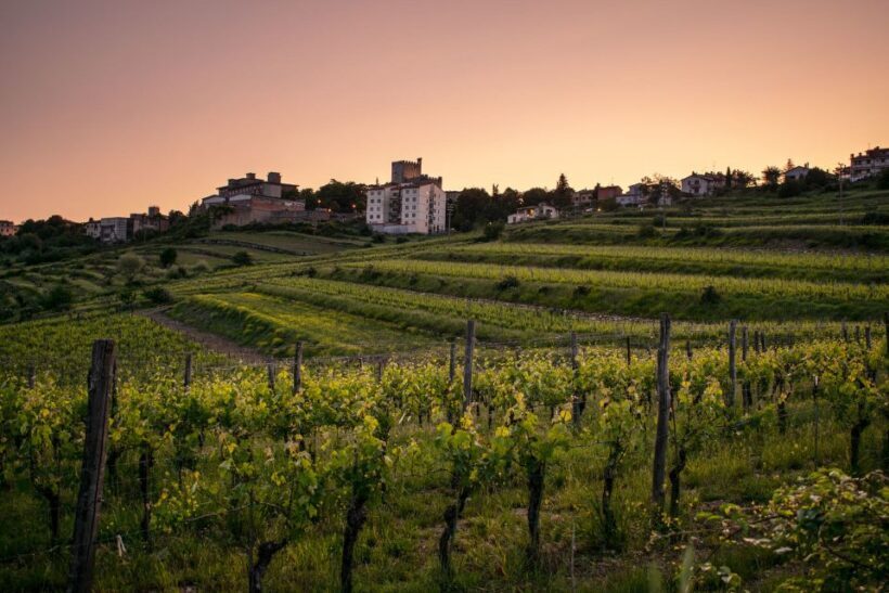 Florence: Tuscany Chianti Winery Private Day-Trip with Lunch - Why This Tour Offers Great Value