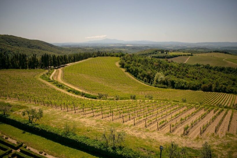 Florence: Tuscany Chianti Winery Private Day-Trip with Lunch - Final Thoughts