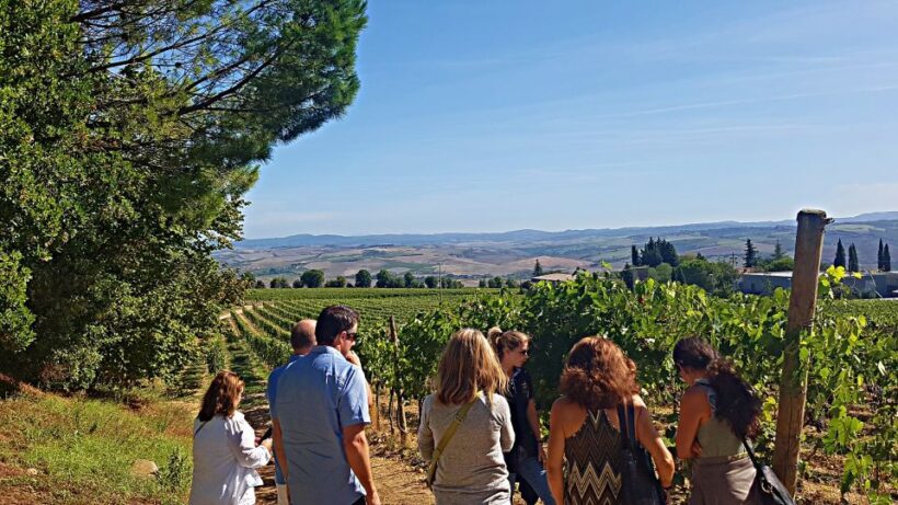 Florence: Valdorcia Wine, Brunello Montalcino, Montepulciano - Critical Considerations