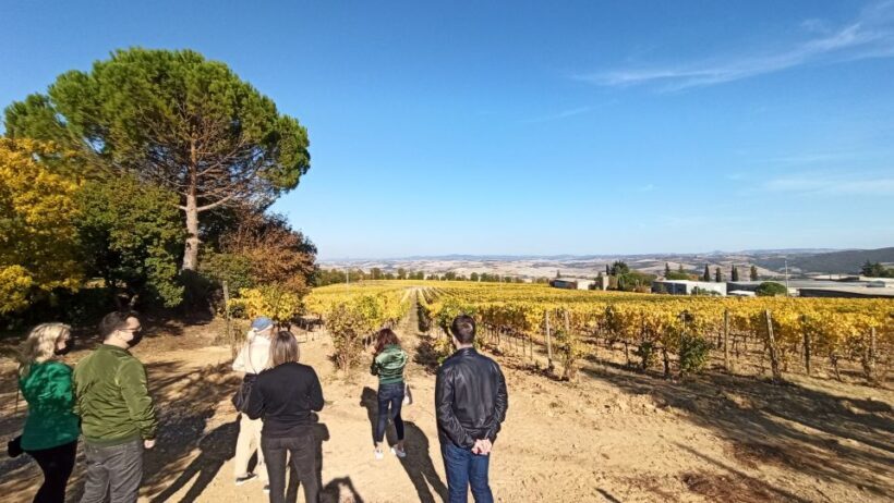 Florence: Valdorcia Wine, Brunello Montalcino, Montepulciano - Who Is This Tour Best For?
