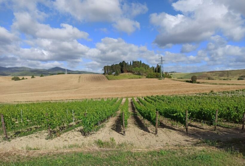 Florence: Volterra & San Gimignano Wine Tour with Lunch - Who Will Love This Tour?