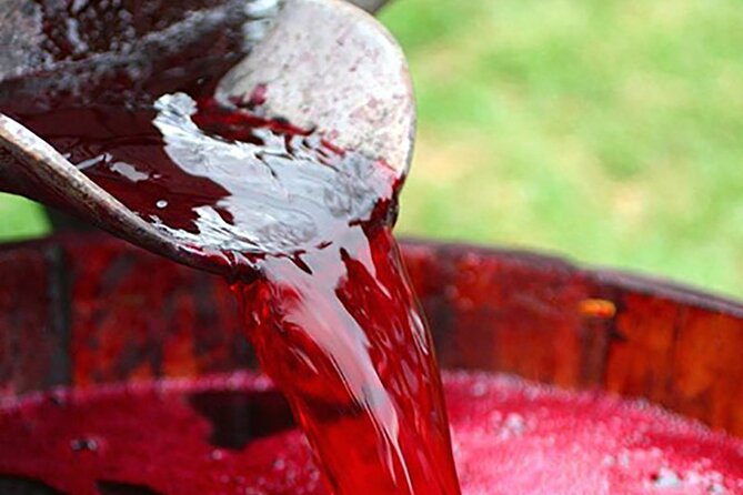 Florence: Wine Making Private Experience In a Vineyard in Tuscany - Key Points