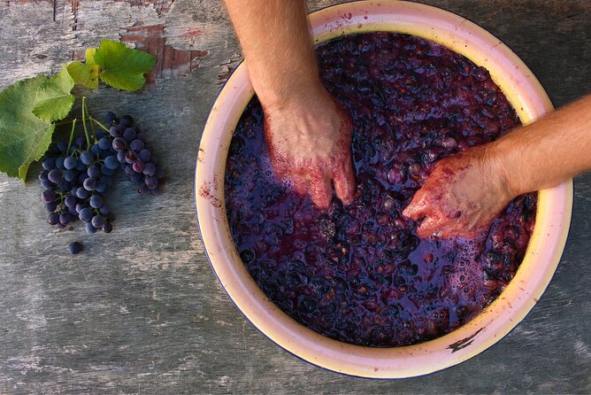 Florence: Wine Making Private Experience In a Vineyard in Tuscany - What’s Included and How It Adds Value