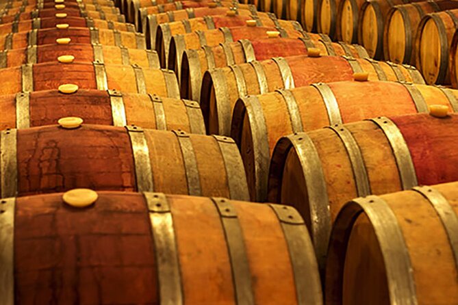 Florence: Wine Making Private Experience In a Vineyard in Tuscany - Who Will Love This Tour?