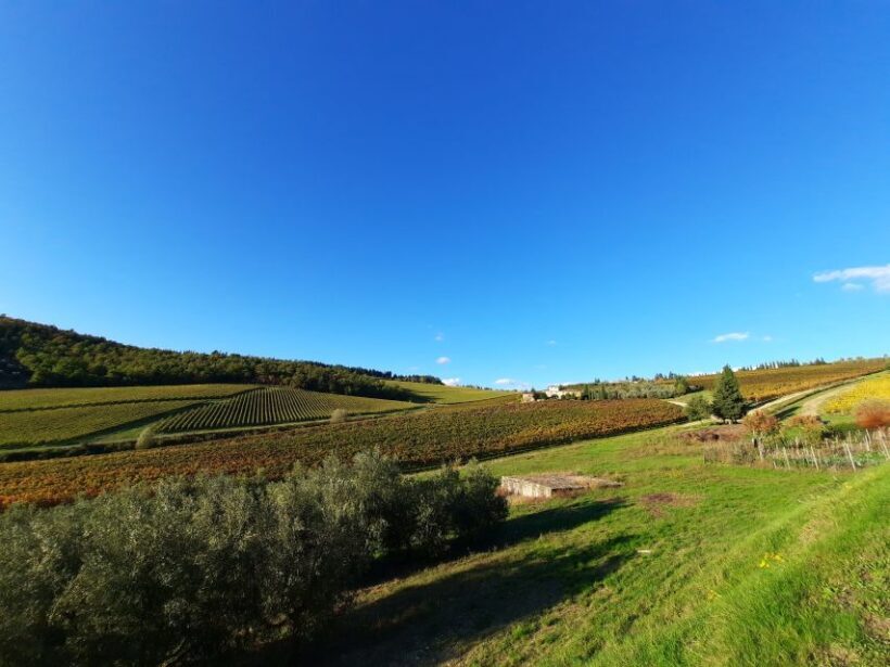 Florence Wine Tour with Traditional Lunch, Private Winery - Key Points