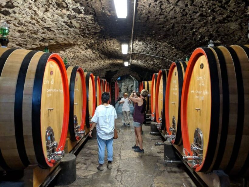 Florence Wine Tour with Traditional Lunch, Private Winery - Who Will Love This Tour?