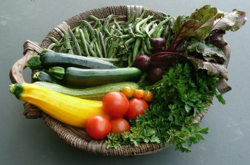 Florentine Countess Kitchen Lesson and Dinner - What’s Included and What to Expect