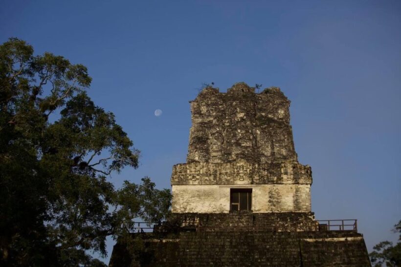 Flores: 1-Day Tikal Tour Private Service From your Hotel - Why Choose this Tour?