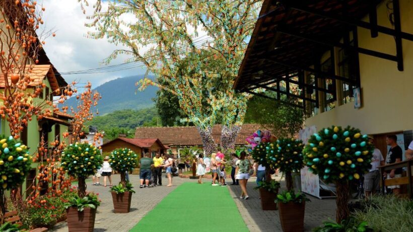 Florianópolis: Blumenau and Pomerode Germanic Route Day Trip - The Tours Start and Transportation