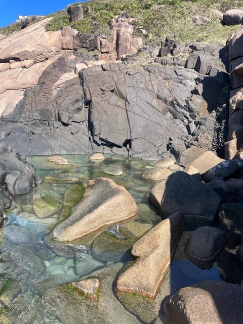 Florianopolis: Gravata Beach Trail with Picnic - A Deep Dive into the Gravata Beach Trail Tour