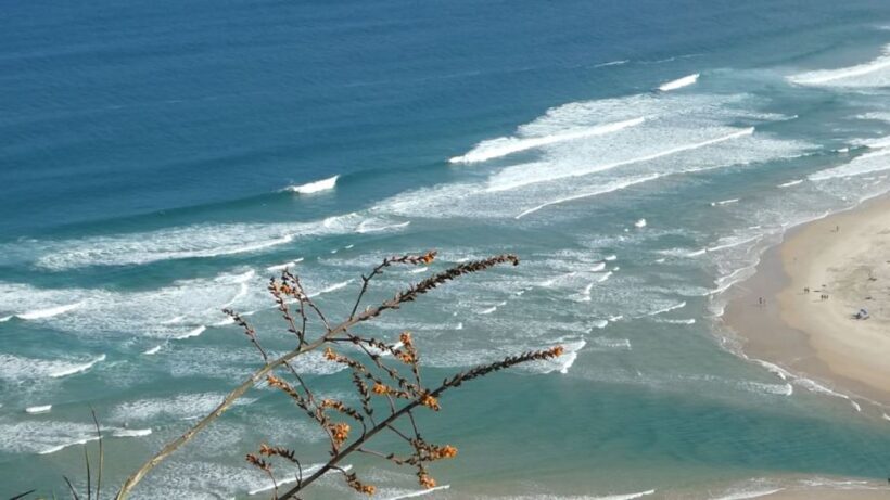 Florianópolis: Guarda do Embau Day Trip with Pickup - The Value: What You’re Paying For